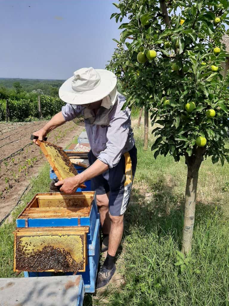 Stupina - Stupul Vesel.ro